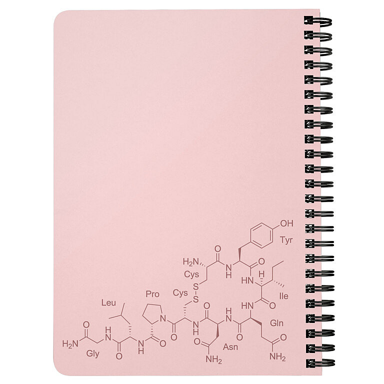 Cute It's Chemistry Notebook for STEM girls - Smart Foxes